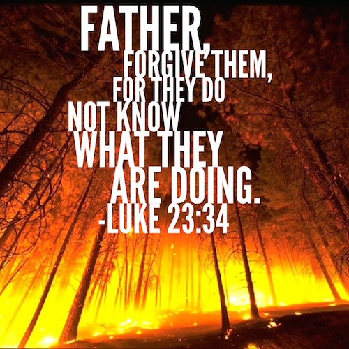 They know not what they are doing – Agents of Light