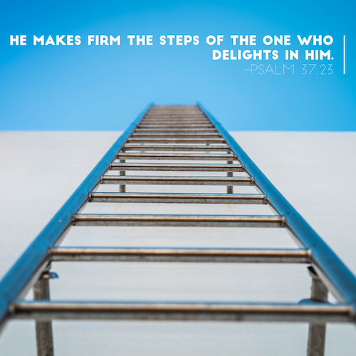 When you slip on the ladder – Agents of Light