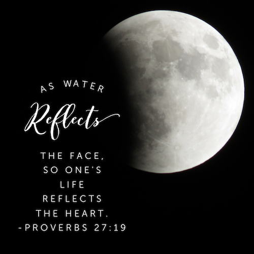 We reflect our hearts – Agents of Light