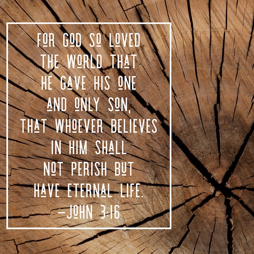 Can you spot the difference? – Agents of Light